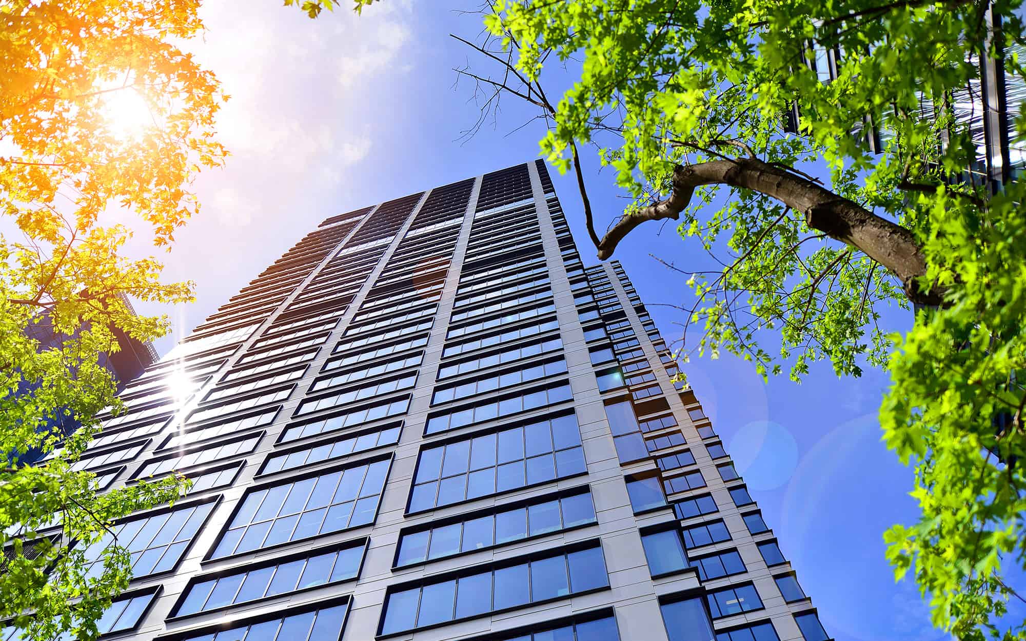 Energy-Efficient Construction | Ironclad Services